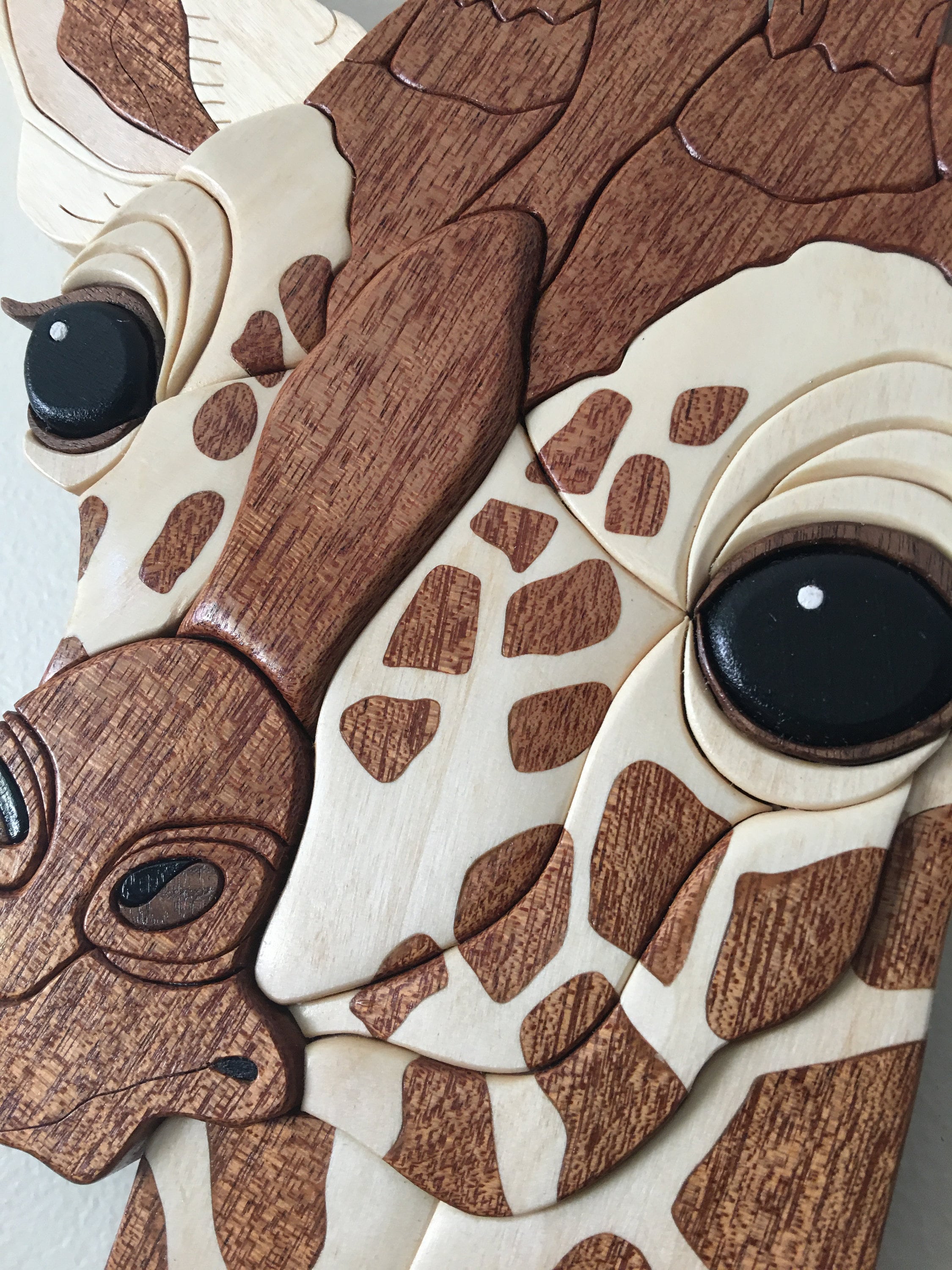 Giraffe Intarsia - Etsy