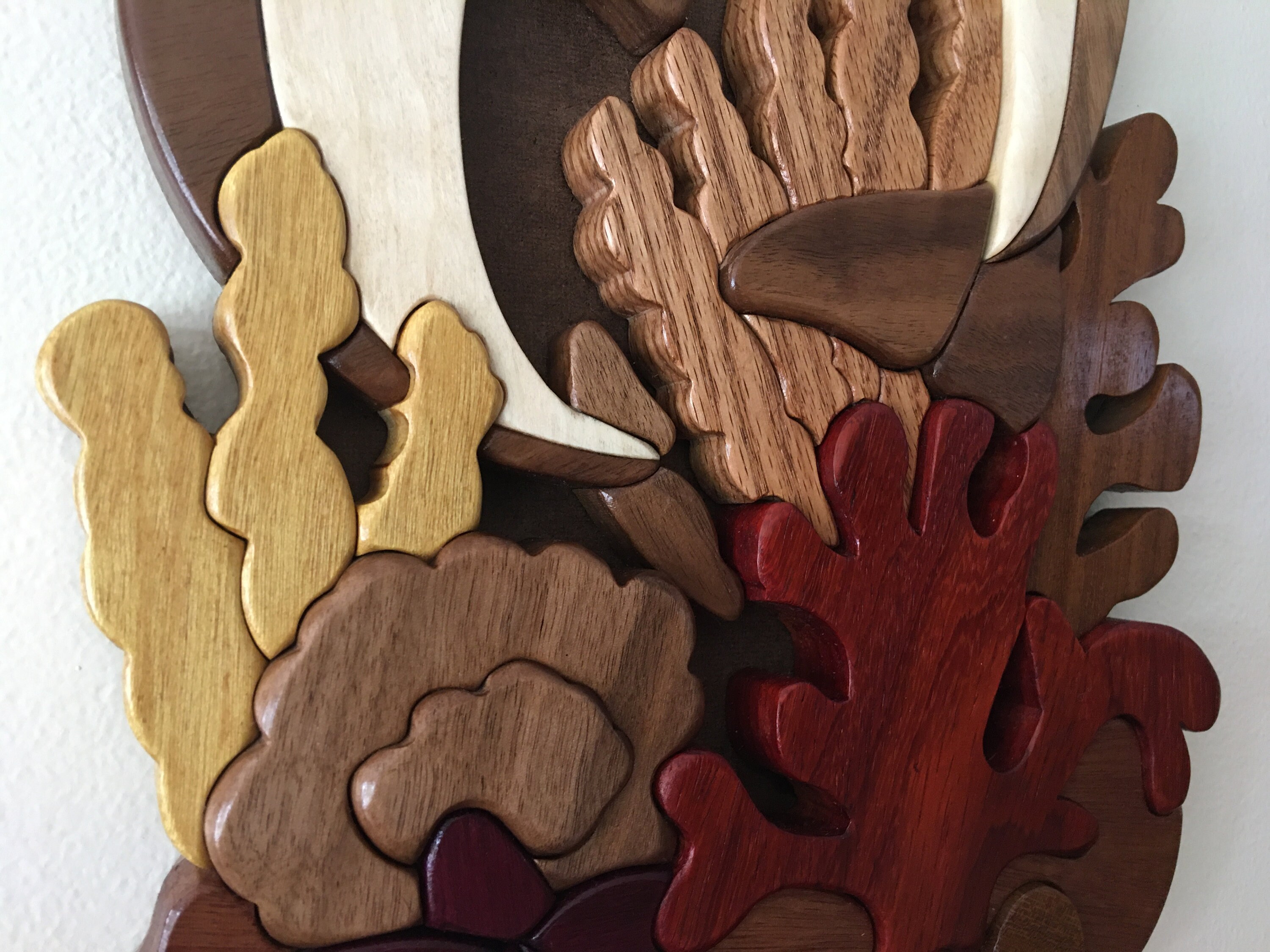 Dolphin Intarsia - Etsy