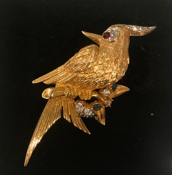 Boucher Signed Bird of Paradise Brooch - Gem