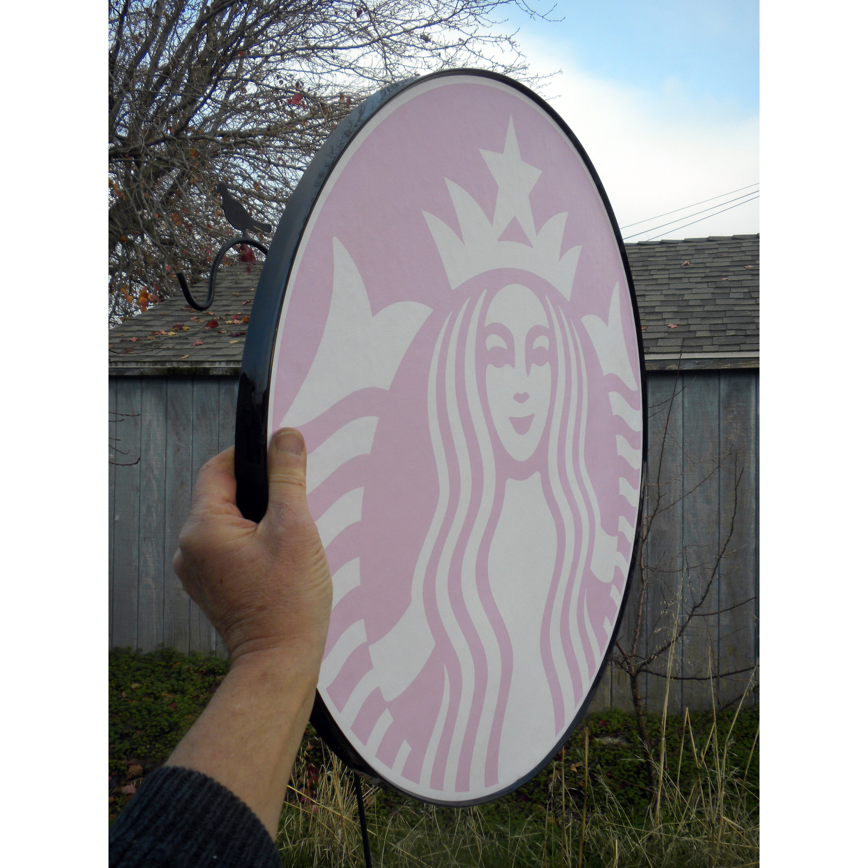 Starbucks Pink Siren as a Framed Round Poster/sign - Etsy