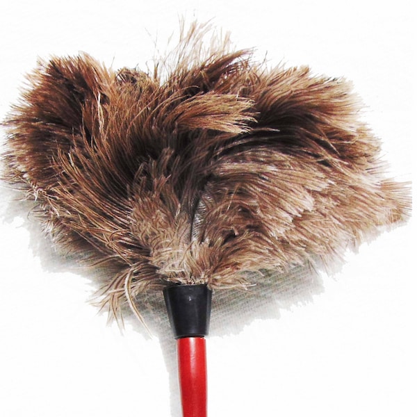 Feather Duster - Etsy