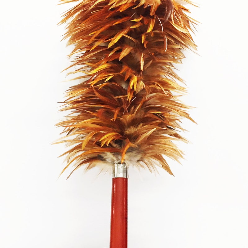 Feather Duster - Etsy