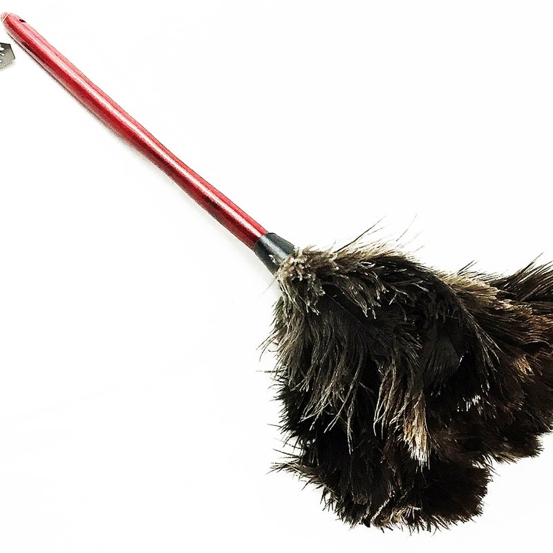 Feather Duster - Etsy