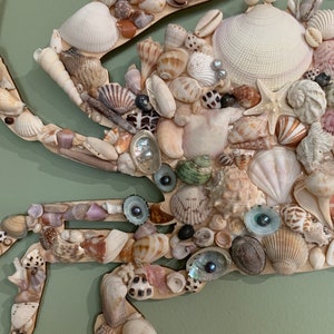 Large Crab Sea Shell Art - Etsy