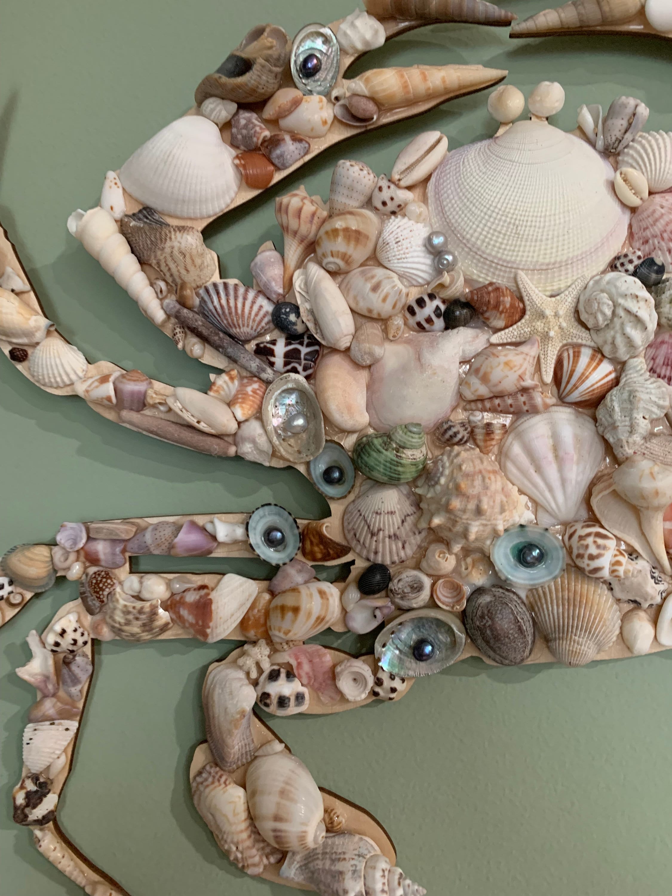 Large Crab Sea Shell Art - Etsy