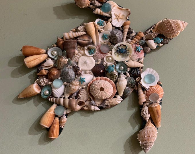 Turtle Made With Shells 14.5”x14” Picture for Home Decor - Etsy