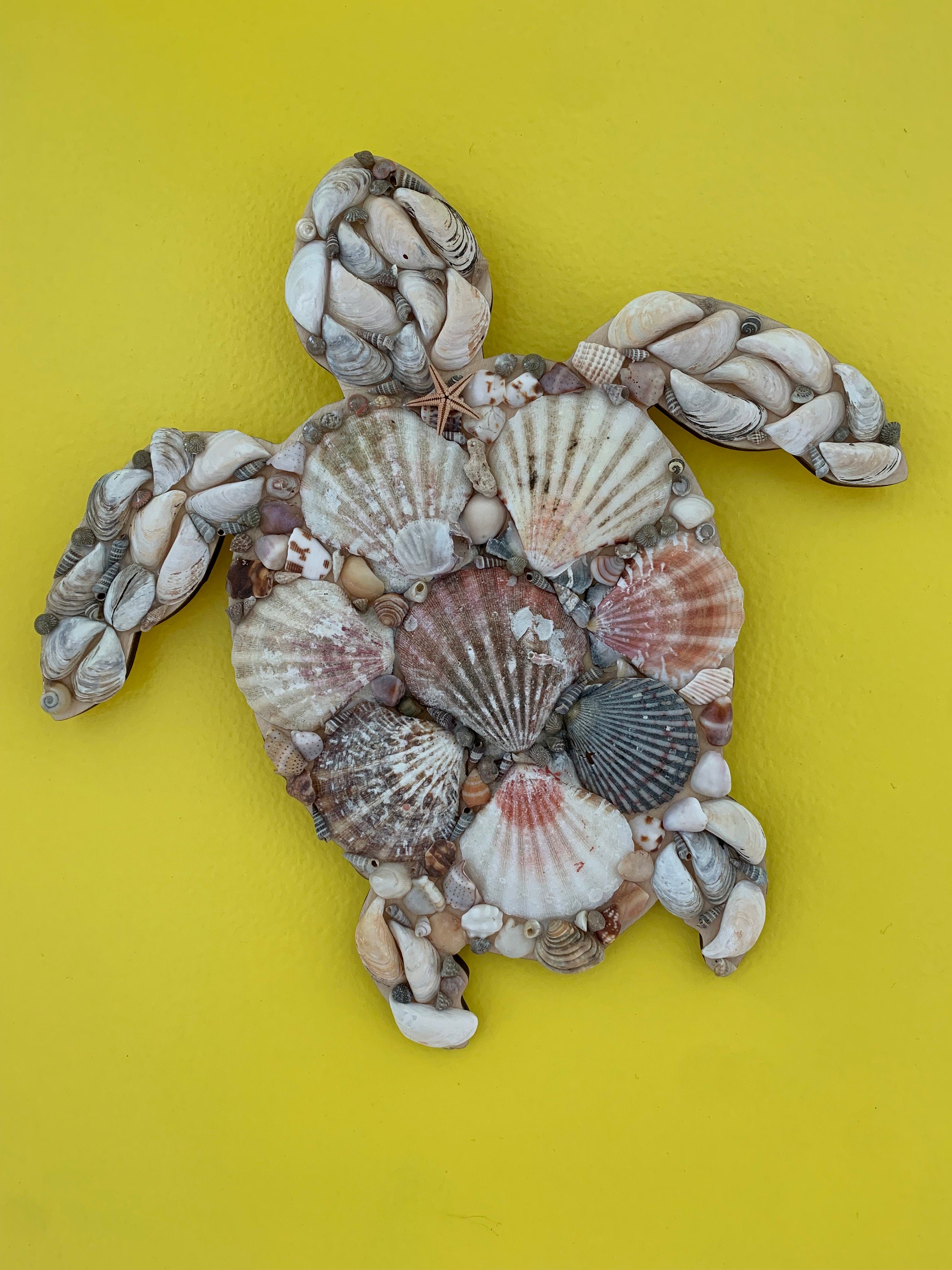 Turtle Sea Shell Art for Decor - Etsy