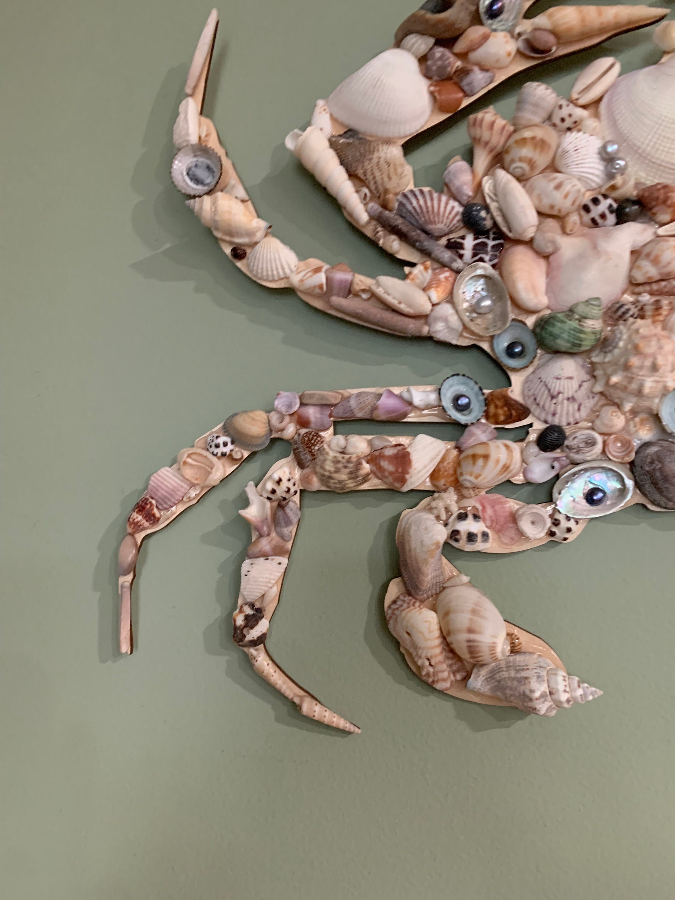 Large Crab Sea Shell Art - Etsy