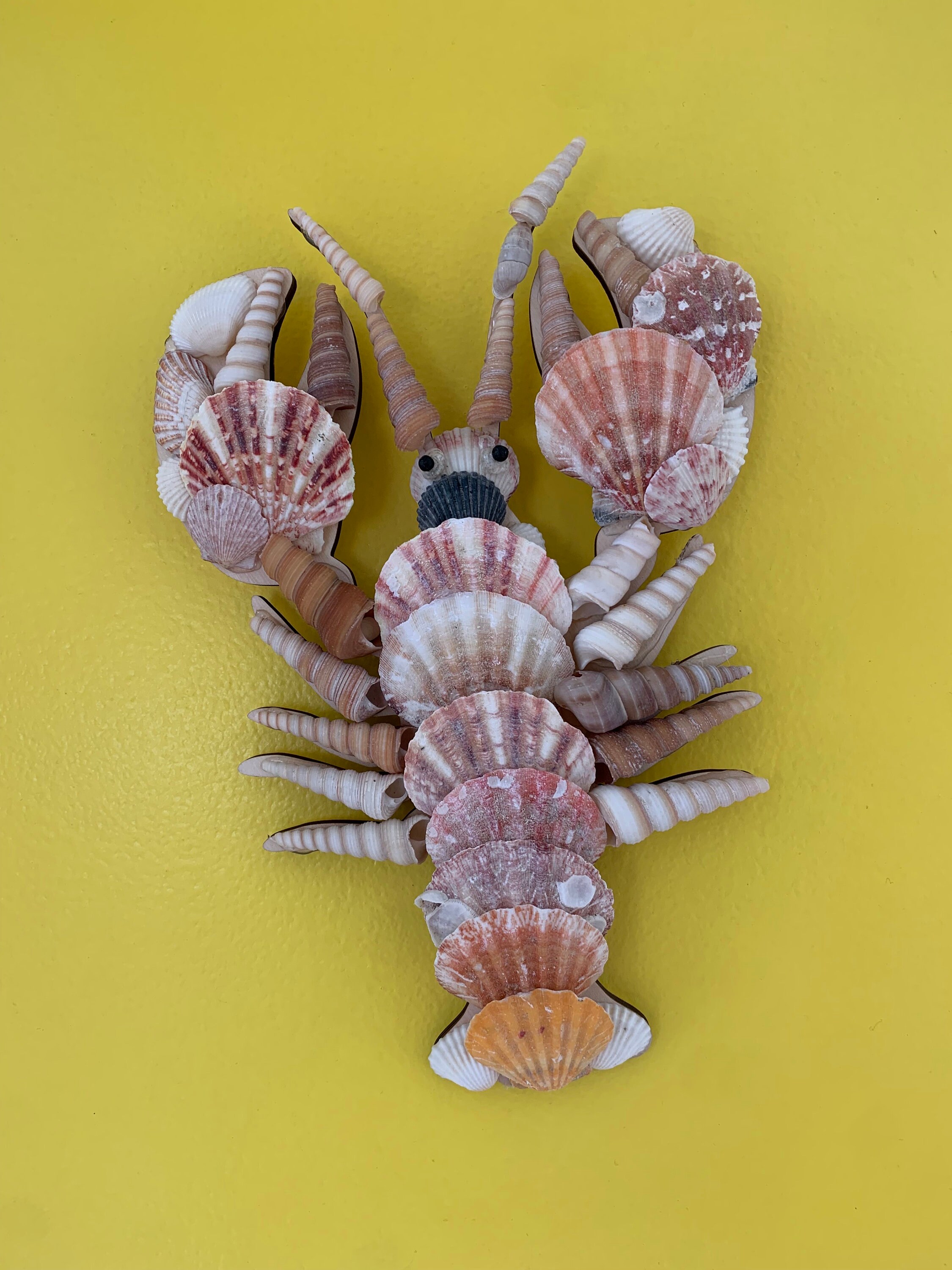 Lobster Shell Art for Home Decor - Etsy
