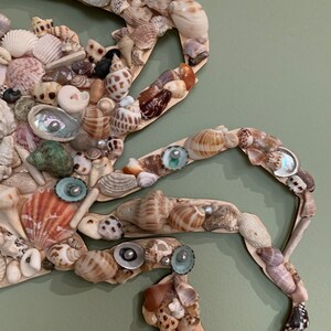 Large Crab Sea Shell Art - Etsy