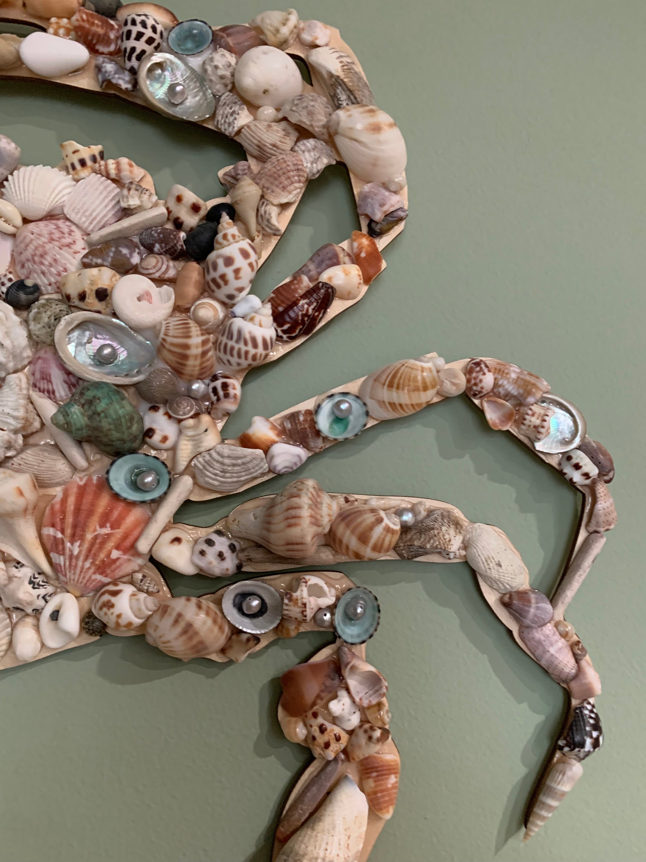 Large Crab Sea Shell Art - Etsy
