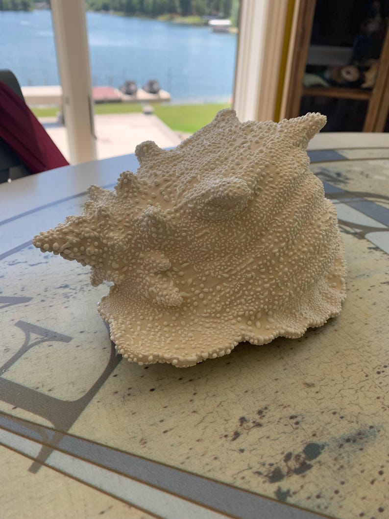 Beautiful! Large Ceramic Sea Shell Dish 8”x4” Nautical Beach Theme - Etsy