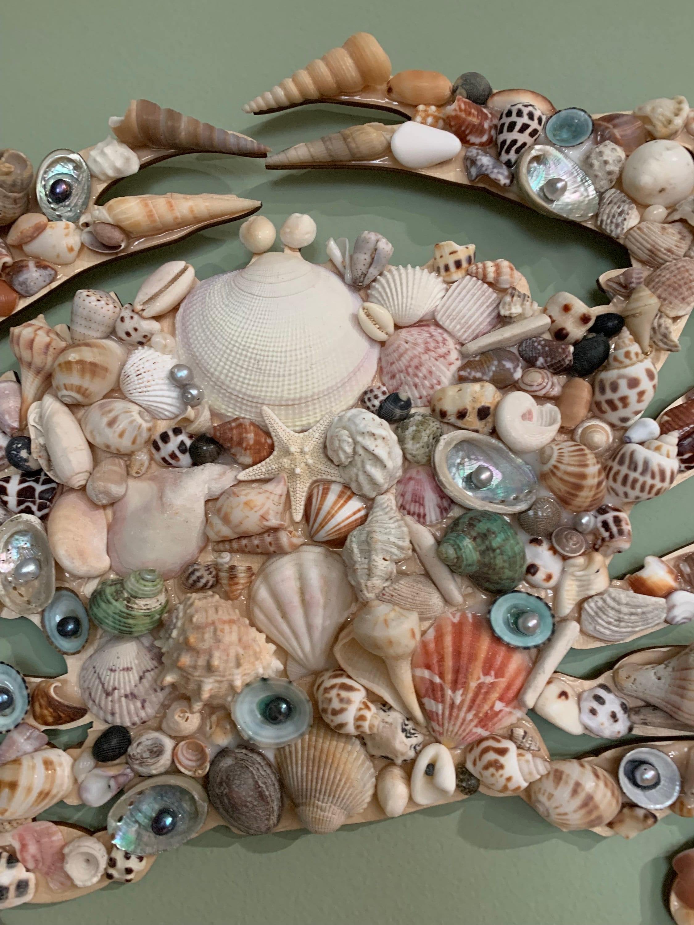 Large Crab Sea Shell Art - Etsy