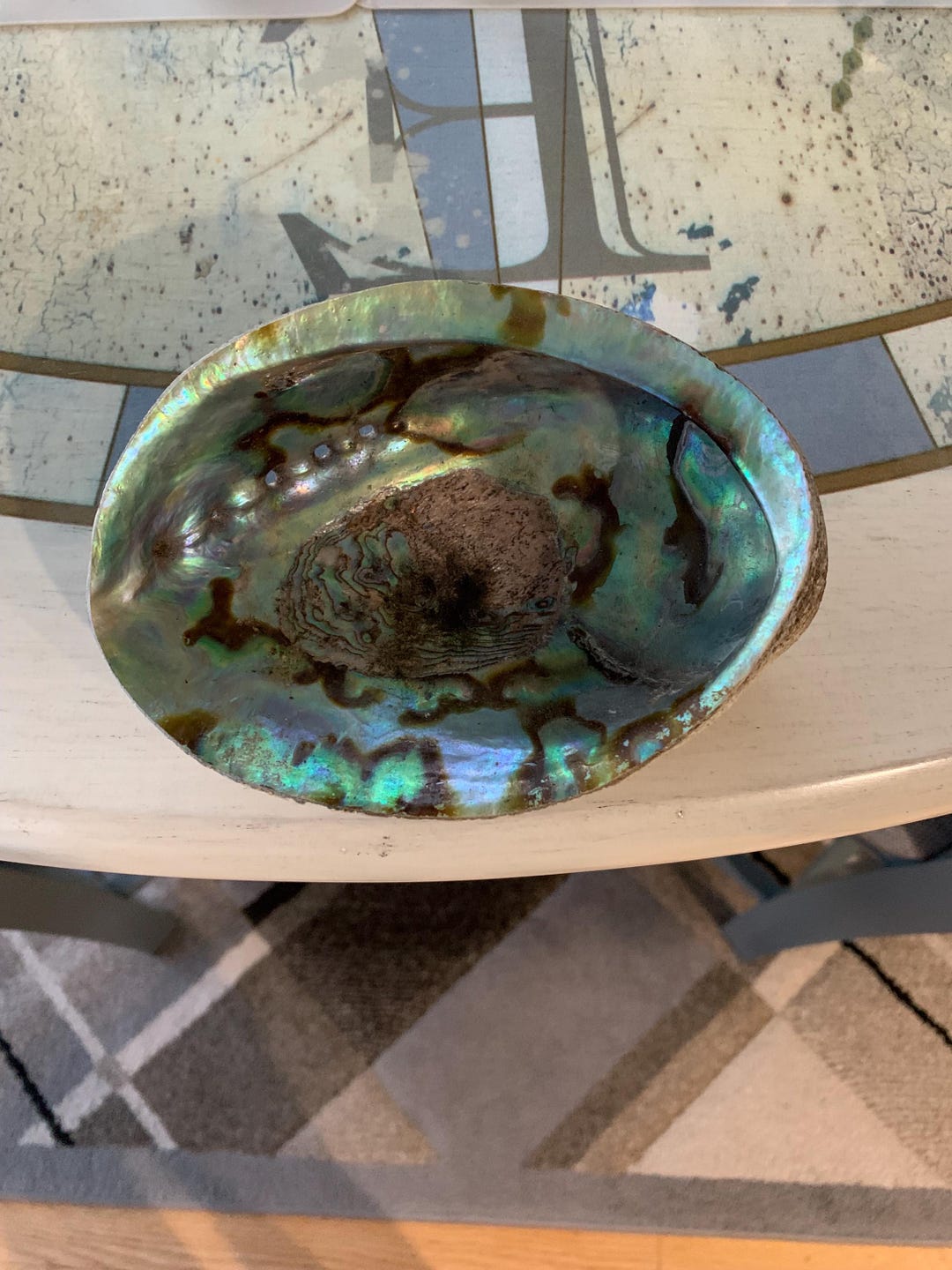 Beautiful Abalone Sea Shell 6”x4.06”x2” for Art Jewelry Collectors Ect ...