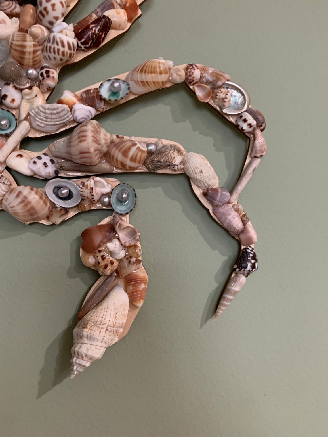 Large Crab Sea Shell Art - Etsy