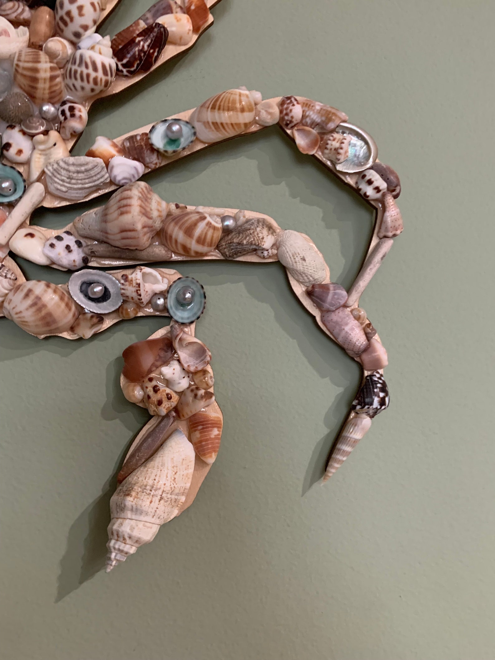 Large Crab Sea Shell Art - Etsy