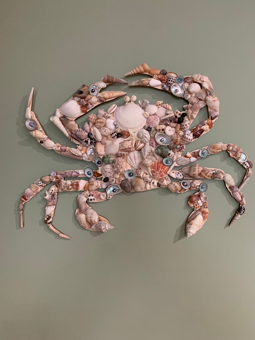 Large Crab Sea Shell Art - Etsy