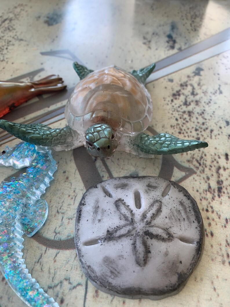 6 Nautical Turtle,sand Dollar, Sea Lion, &sea Horse Resin Art for Decor ...