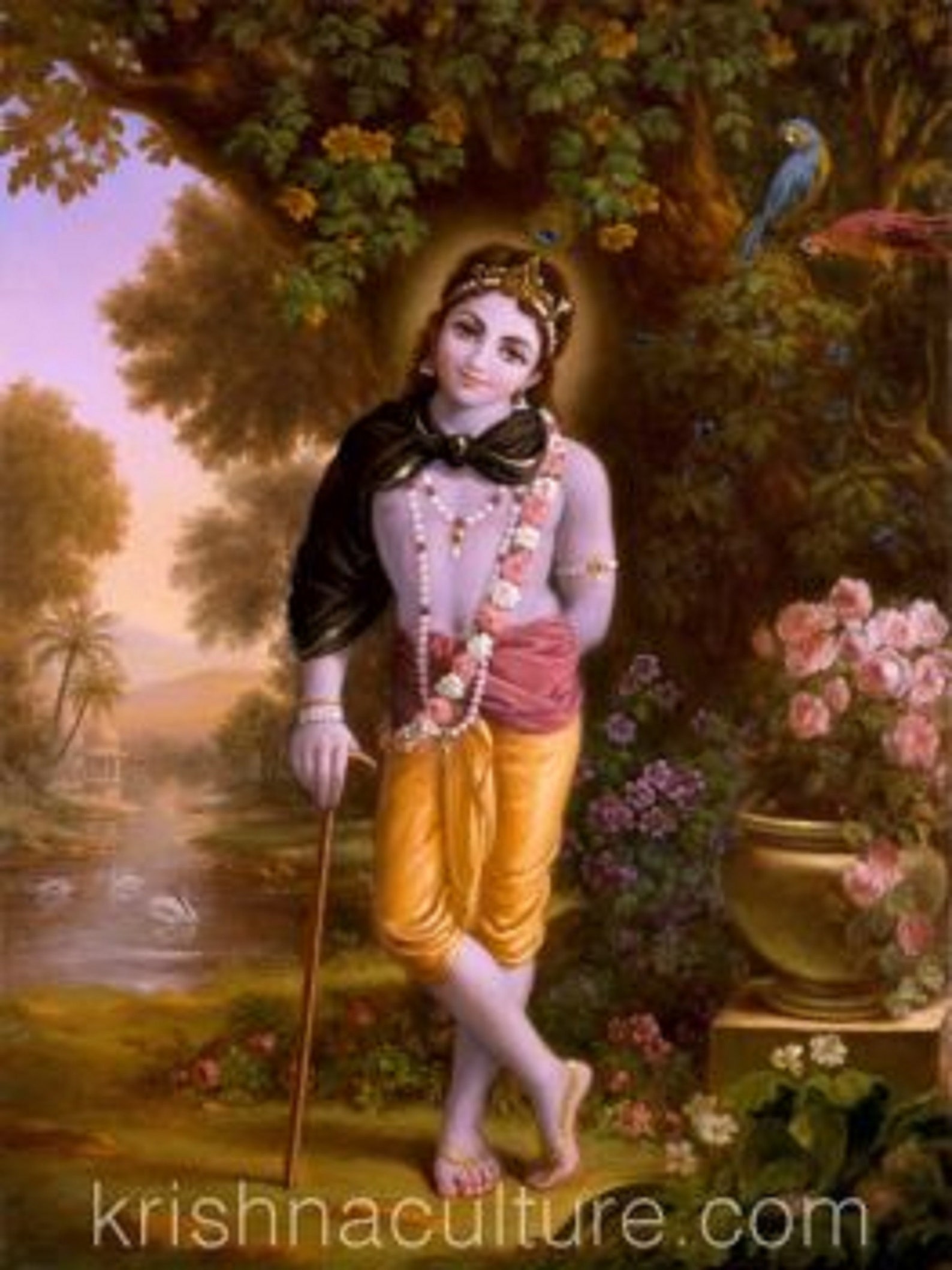 Krishna Kishore Krishna Canvas Art 12x16 | Etsy