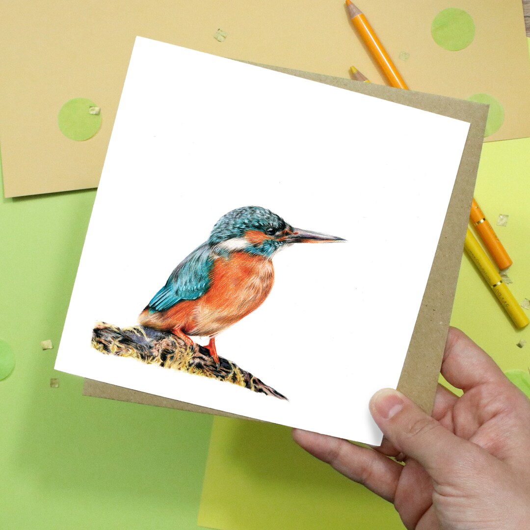 Kingfisher Wild Animal Card / Bird Card / Bird Greetings Card - Etsy
