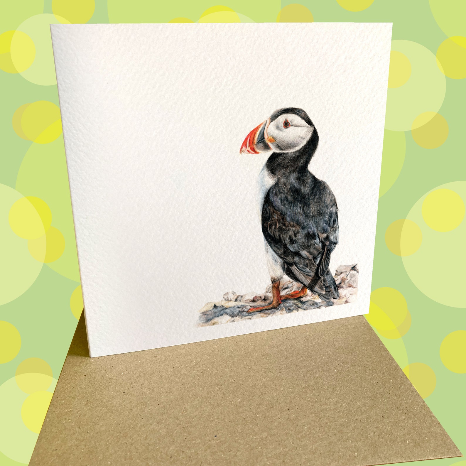 Bird Card / Puffin Card / Greetings Card / Blank Inside / | Etsy