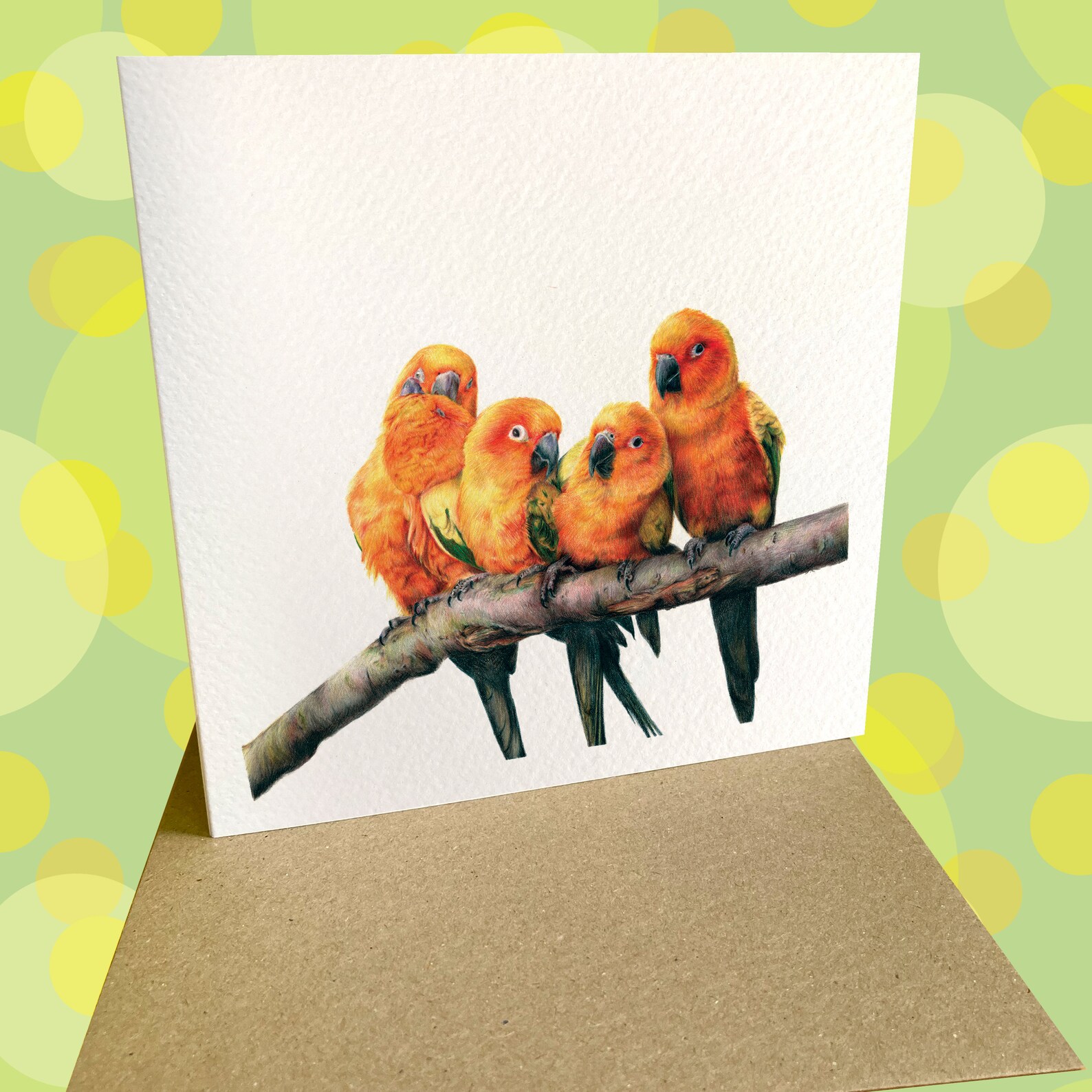 Bird Card / Parrot Card / Greetings Card / Blank Inside / Sun | Etsy