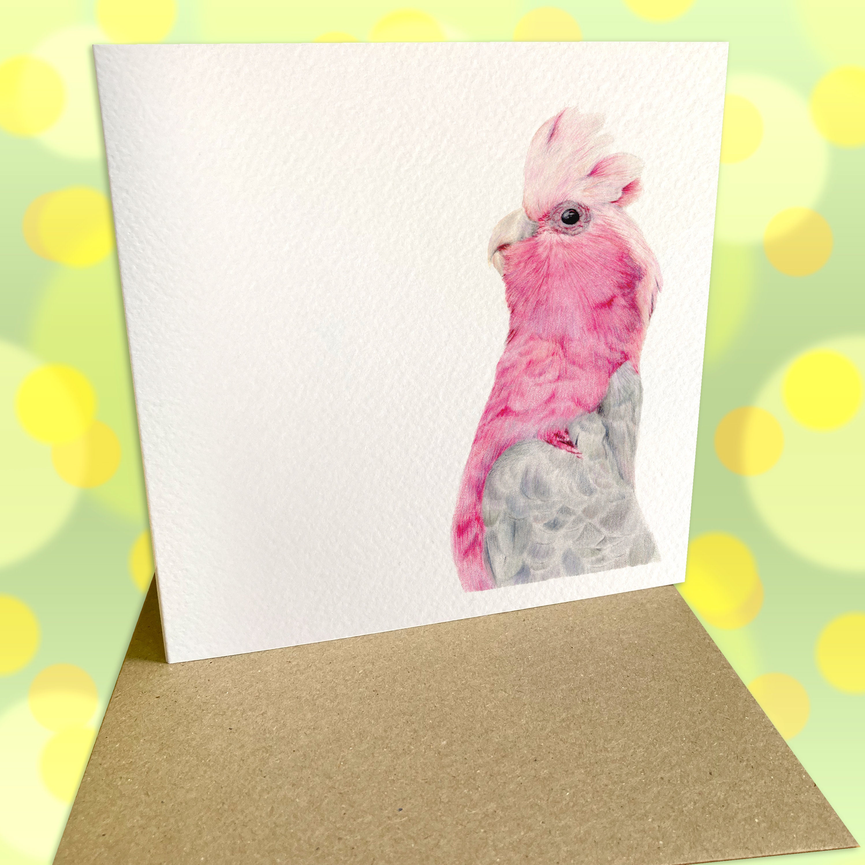 Bird Card / Galah Card / Greetings Card / Blank Inside / - Etsy