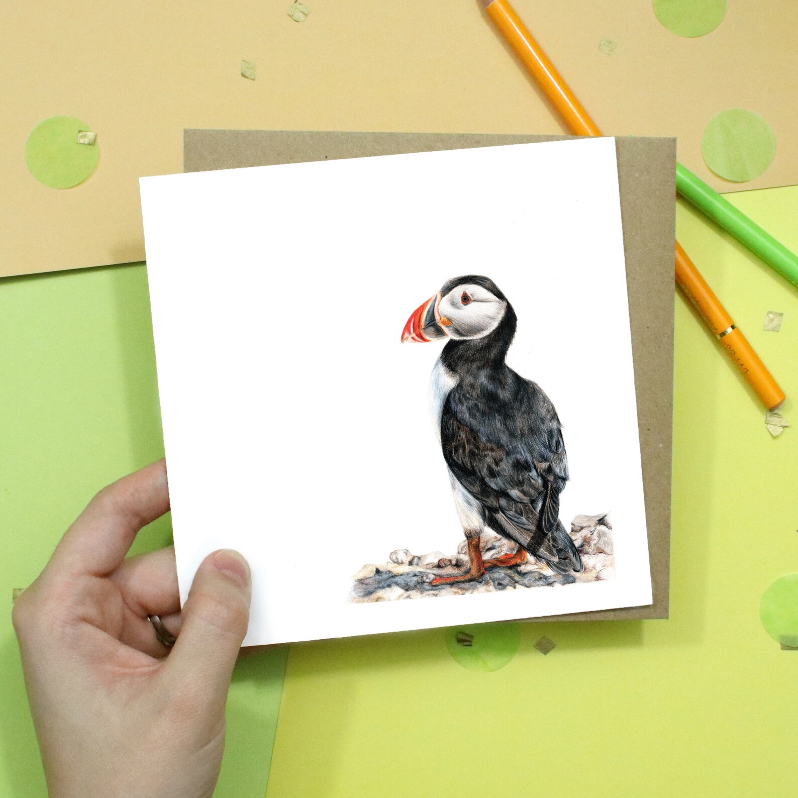 Bird Card / Puffin Card / Greetings Card / Blank Inside / | Etsy