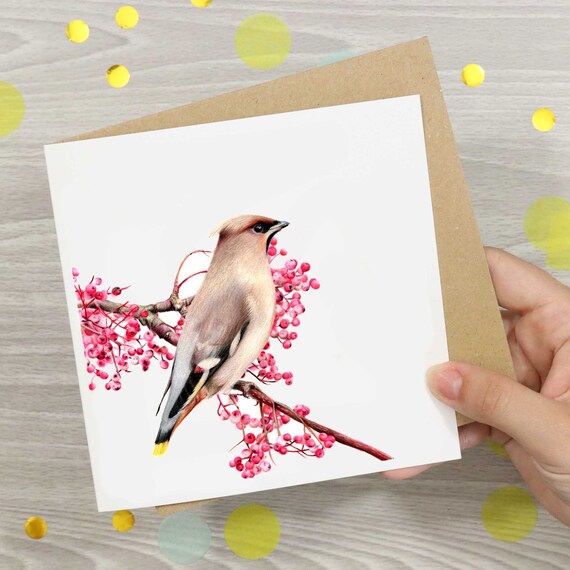 Waxwing Wild Animal Card / Bird Card / Bird Greetings Card / | Etsy