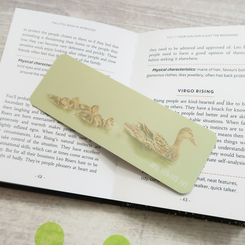 Duck Bookmark Bookmark Double Sided Wildlife Gift Book | Etsy