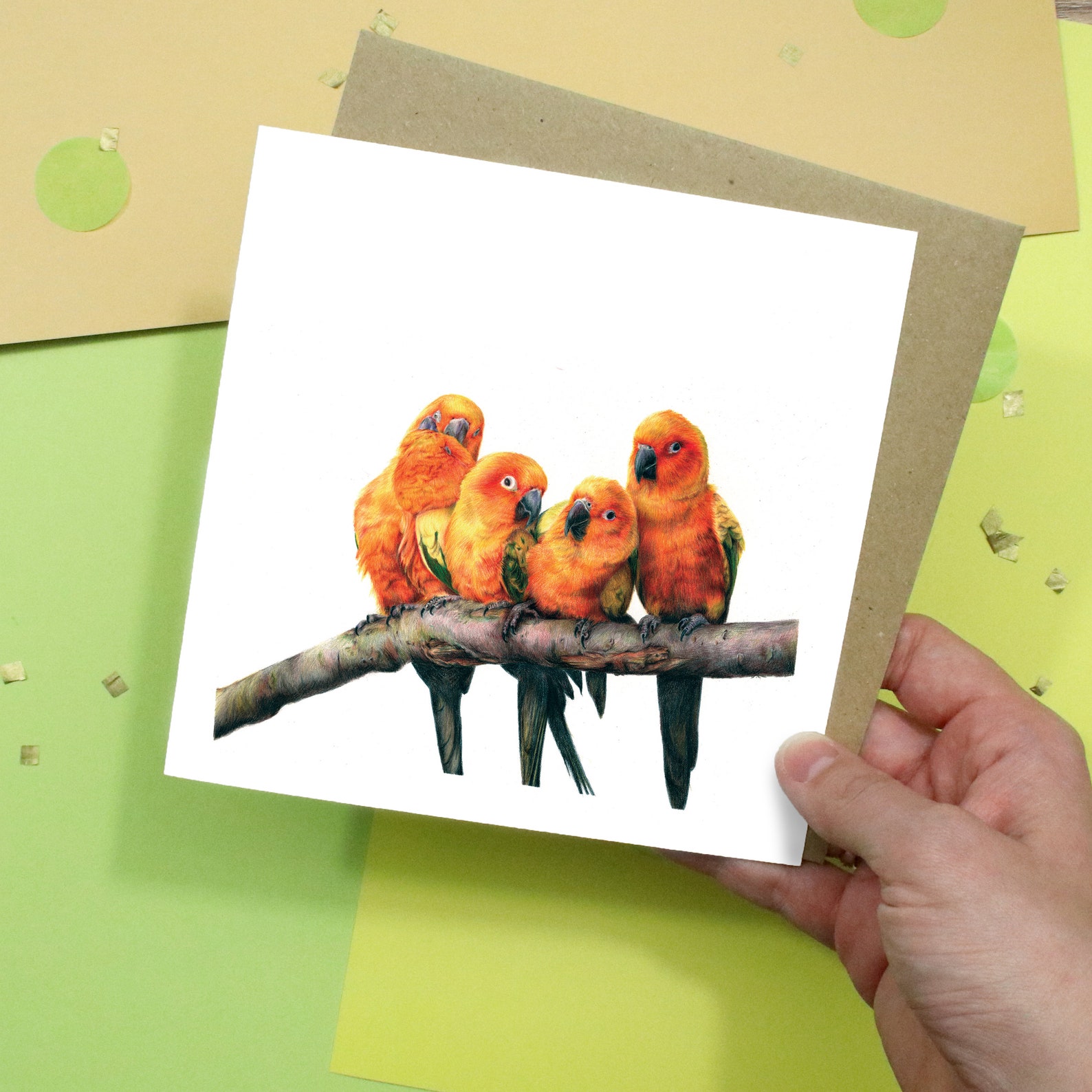 Bird Card / Parrot Card / Greetings Card / Blank Inside / Sun | Etsy