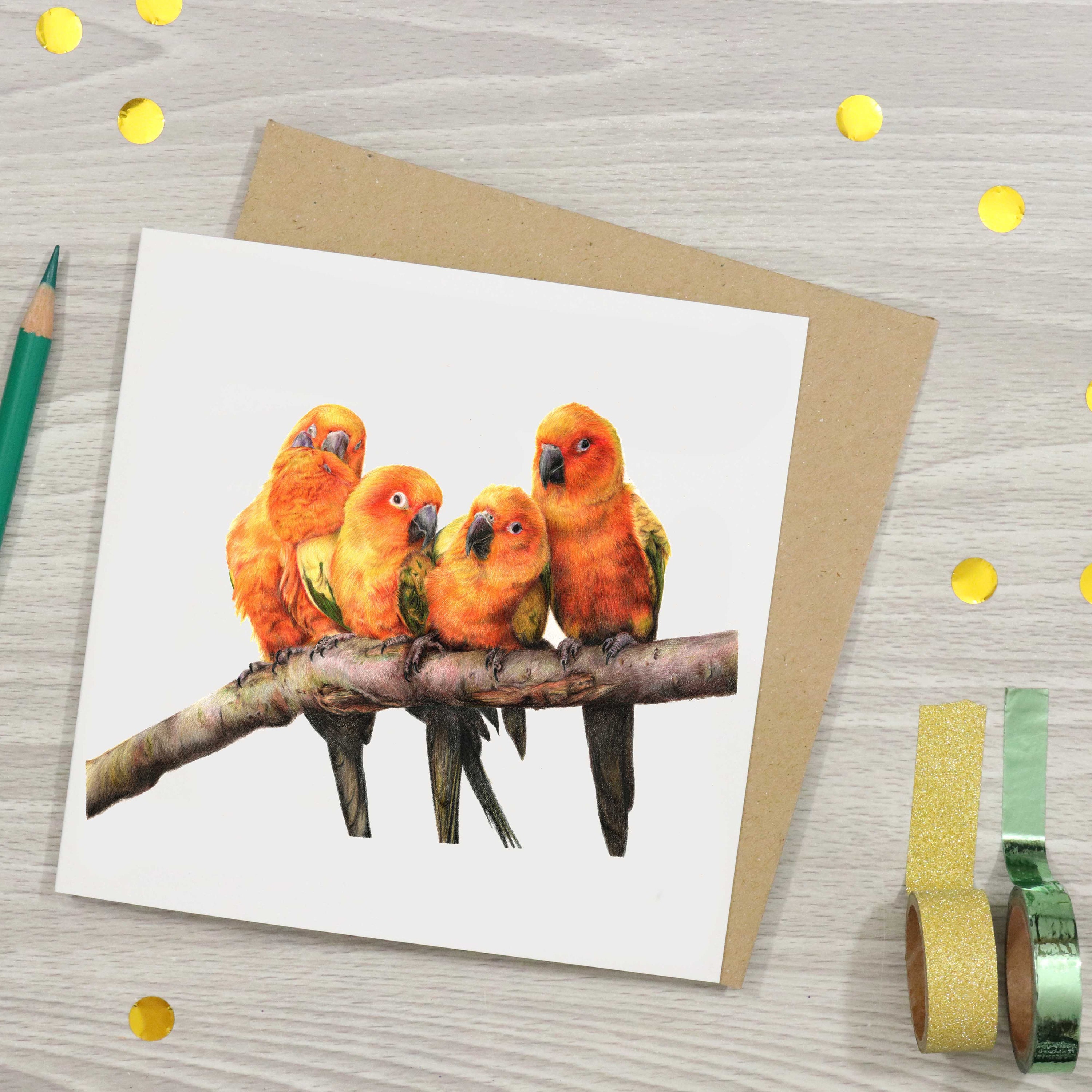Bird Card / Parrot Card / Greetings Card / Blank Inside / Sun | Etsy