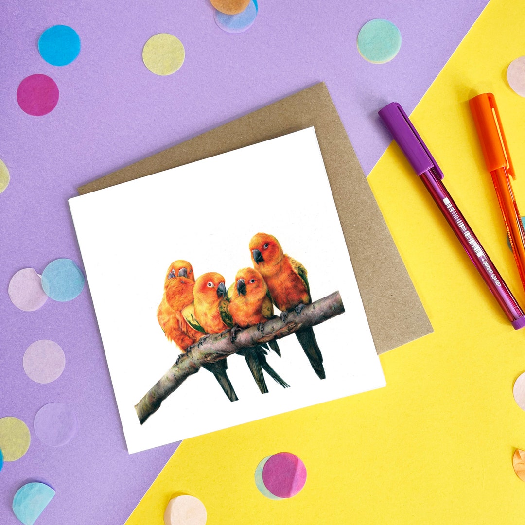 Bird Card / Parrot Card / Greetings Card / Blank Inside / Sun Conure - Etsy