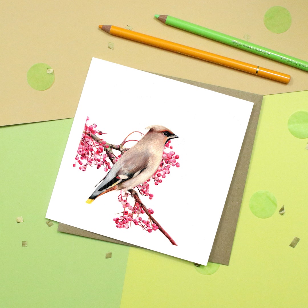 Waxwing Wild Animal Card / Bird Card / Bird Greetings Card / - Etsy