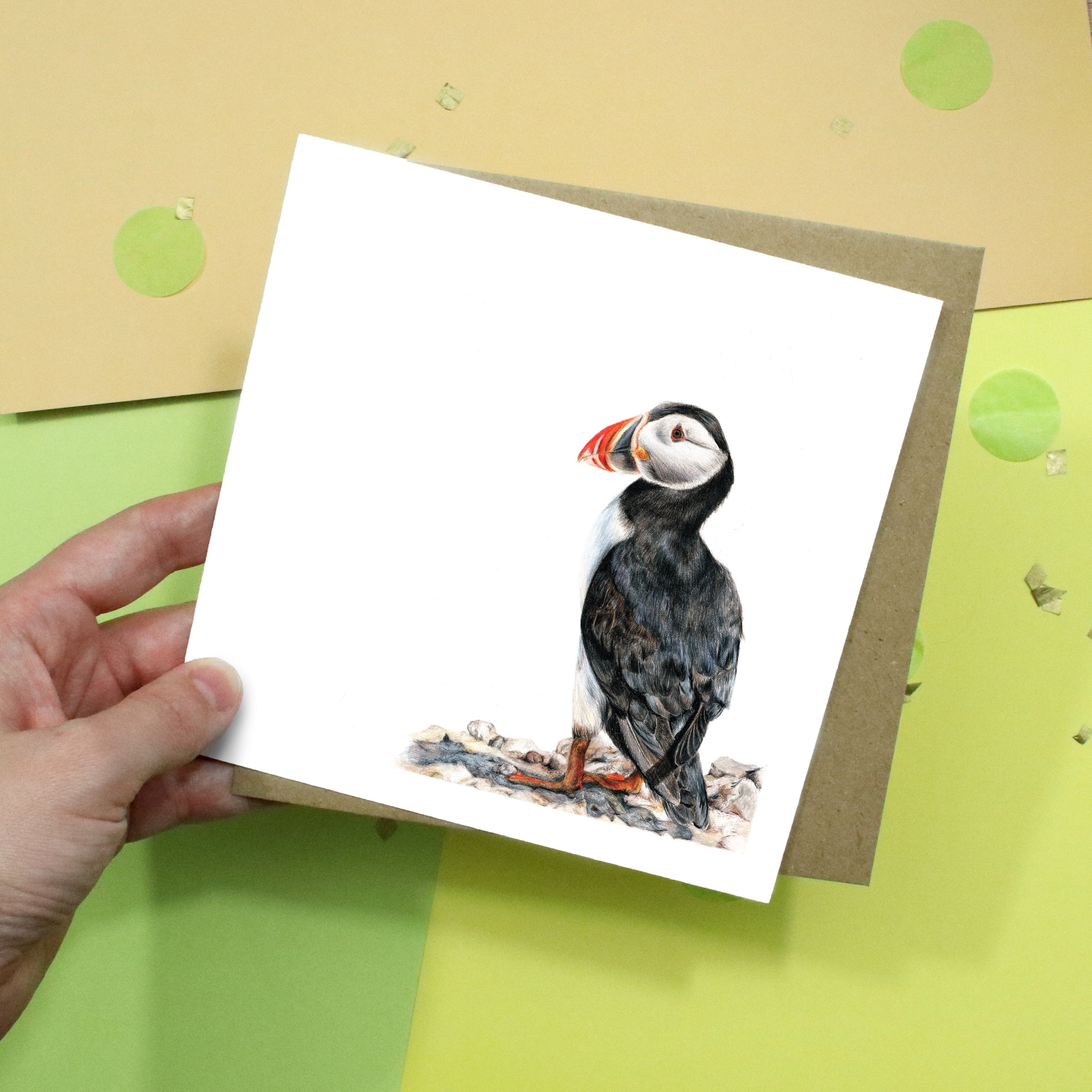 Bird Card / Puffin Card / Greetings Card / Blank Inside / | Etsy