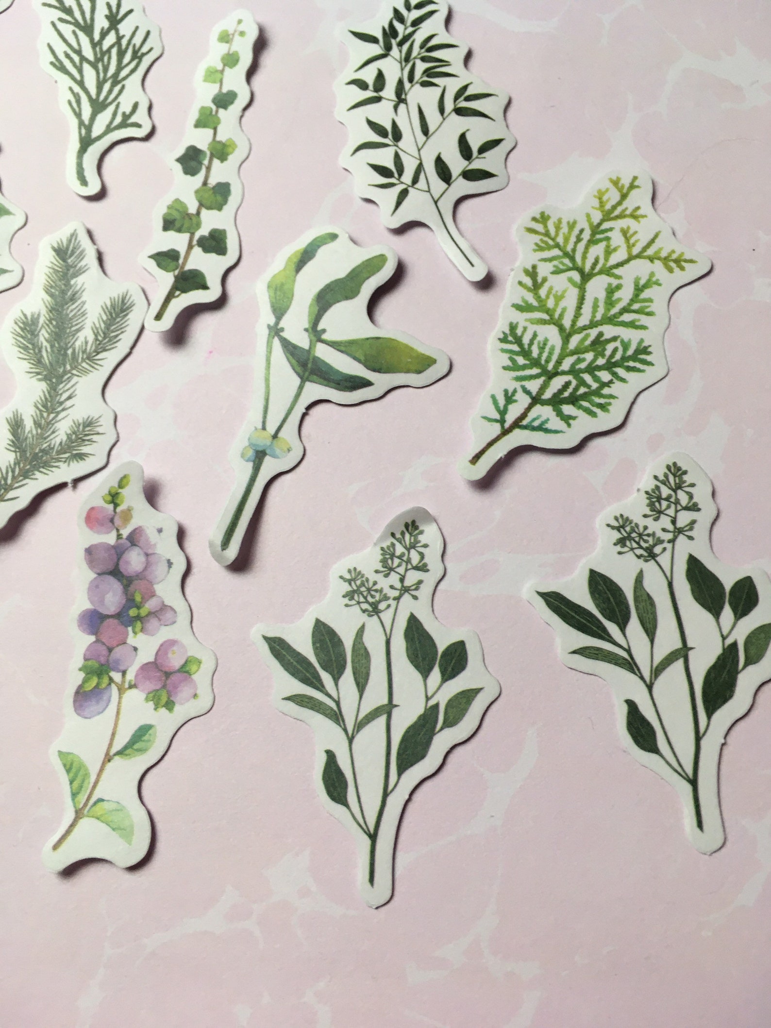 Botanical and Floral Stickers for Junk Journals Mixed Media - Etsy