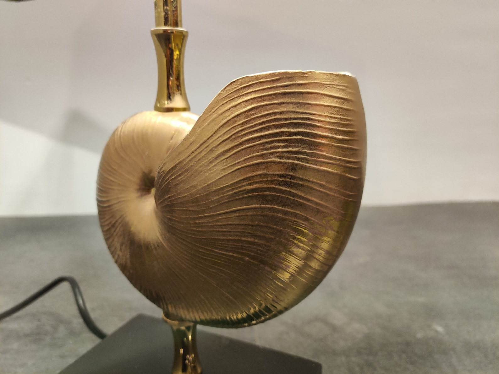 Vintage Brass Nautilus Shell Table Lamp 1970's France - Etsy