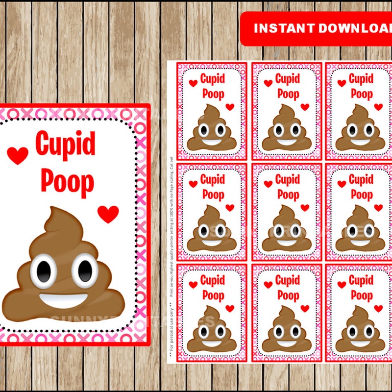Valentines Card Poop - Etsy