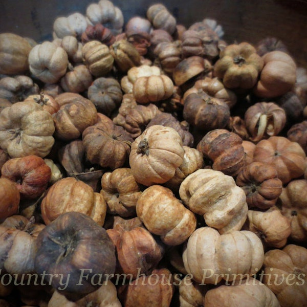 Fall Bowl Fillers - Etsy