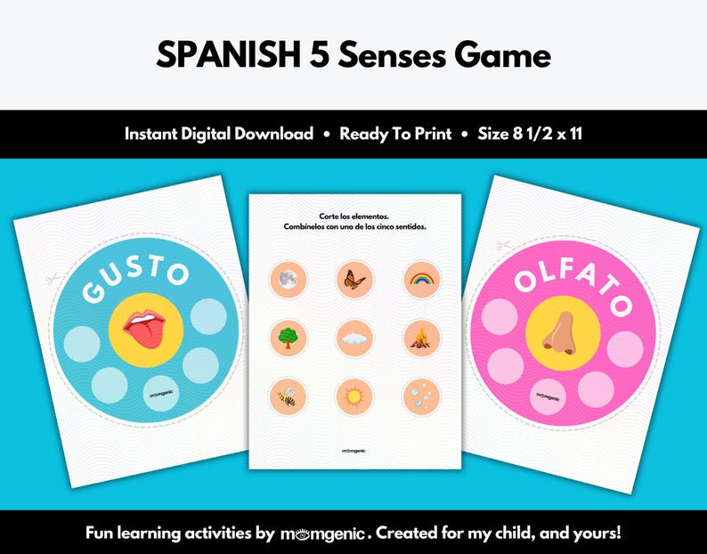 SPANISH 5 Senses Sorting Activity (matching Game, Early Learning, Human ...