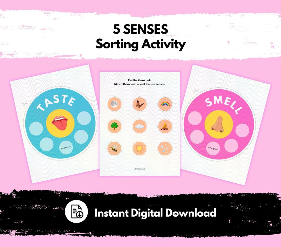 5 Senses Sorting Activity matching Game, Early Learning, Human Body ...