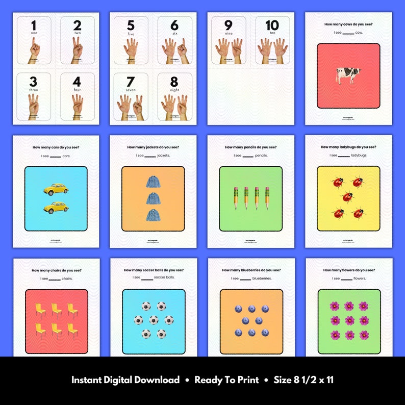 Counting Flashcards and Activity (1 to 10, Learning Numbers, Count to ...