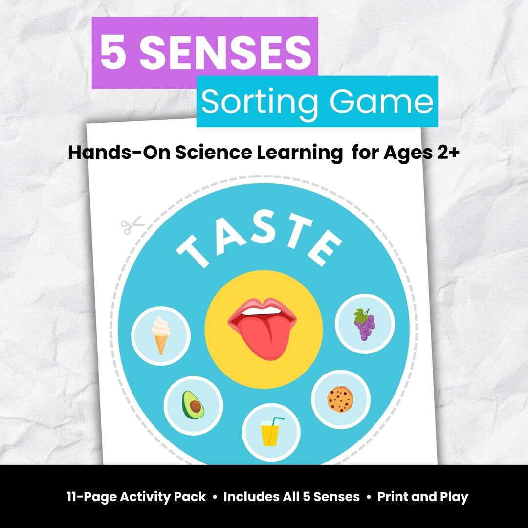 Five Senses Sorting Game Printable | Toddler Learning Activity ...