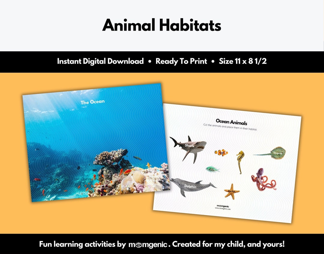 Animal Habitats Printable, Toddler Learning Activity, Preschool ...