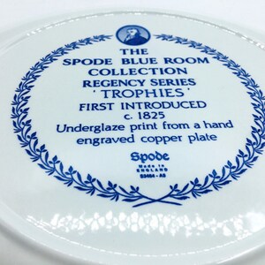 Antique Cobalt Blue Spode Botanical Display Plate With Hanger - Etsy