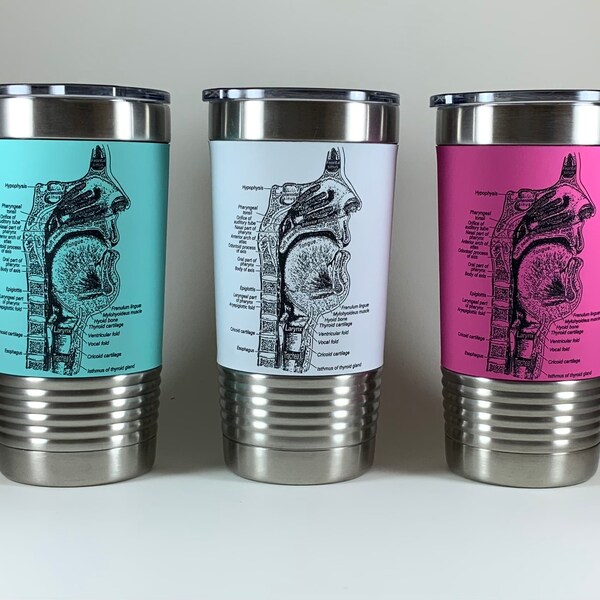 Larynx Anatomical Chart - Etsy Canada