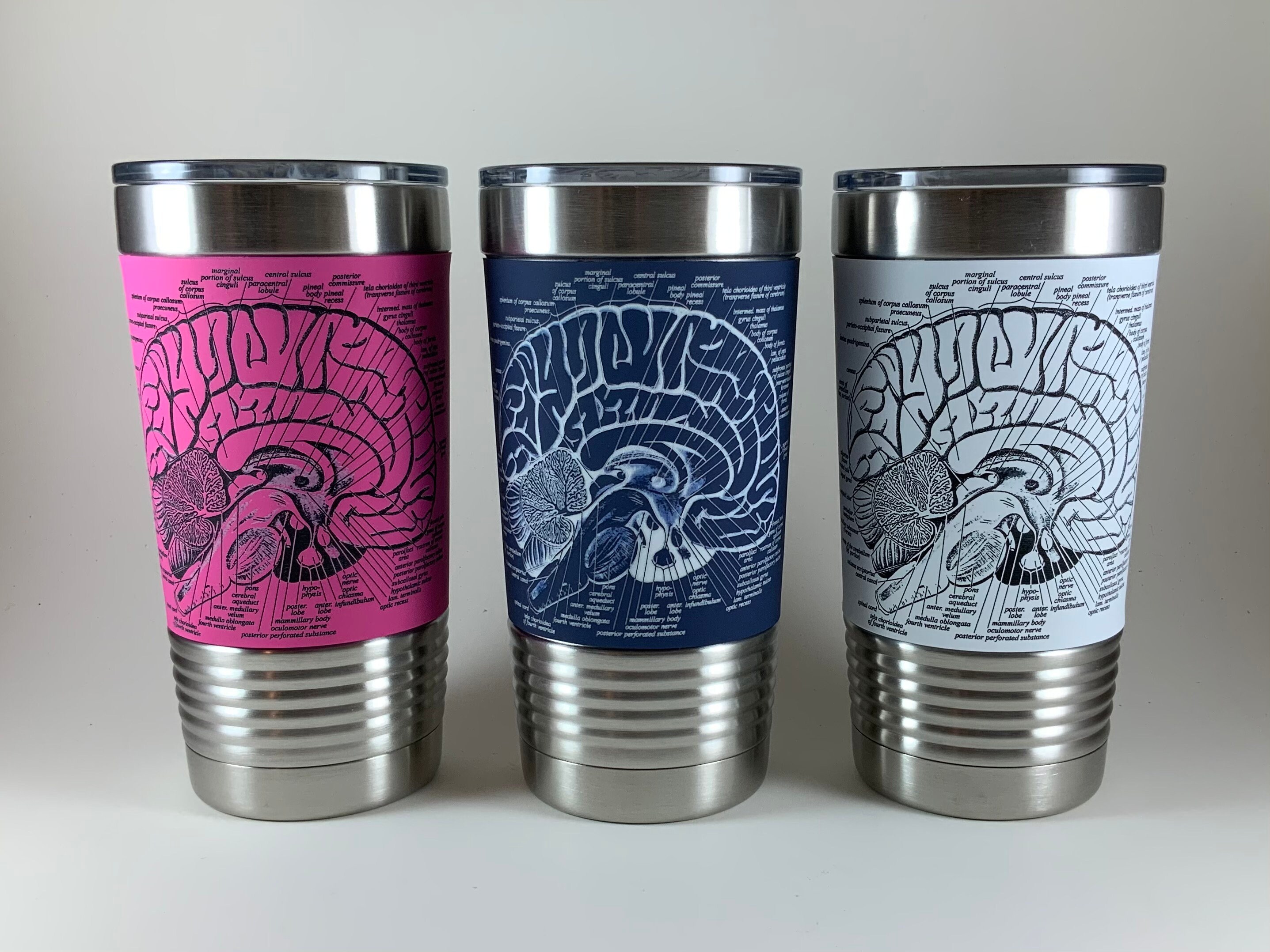 Anatomy Tumbler | Brain Anatomy Gift | Travel Coffee Cup | Neurologist ...