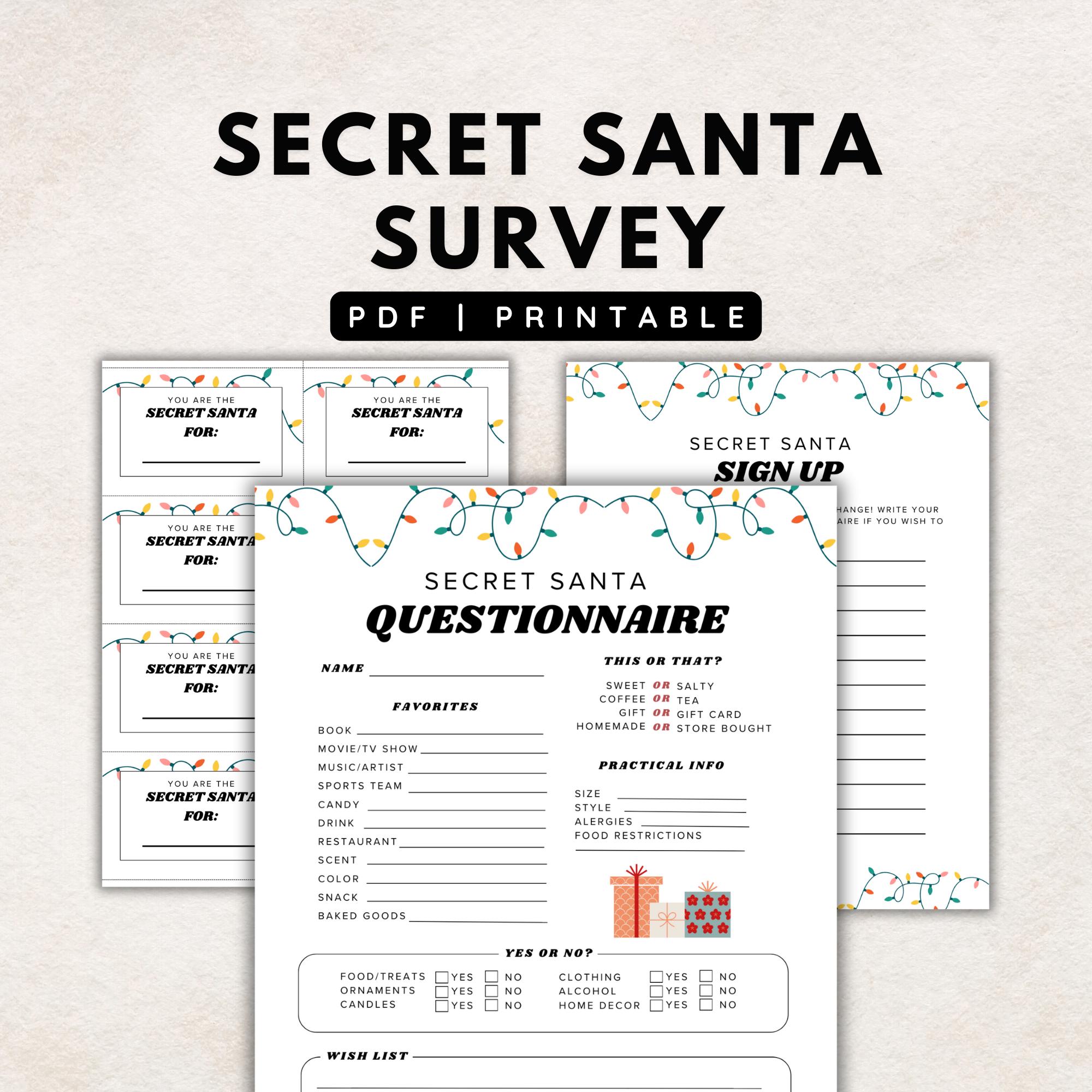 Secret Santa Form Fillable, Secret Santa Questionnaire for Coworkers ...