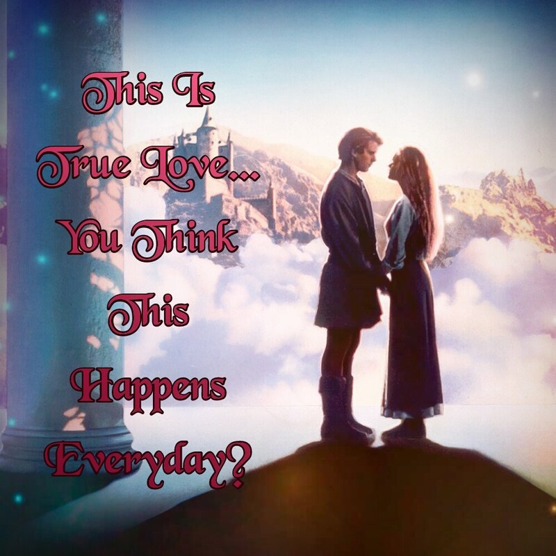 Princess Bride Quote - Etsy