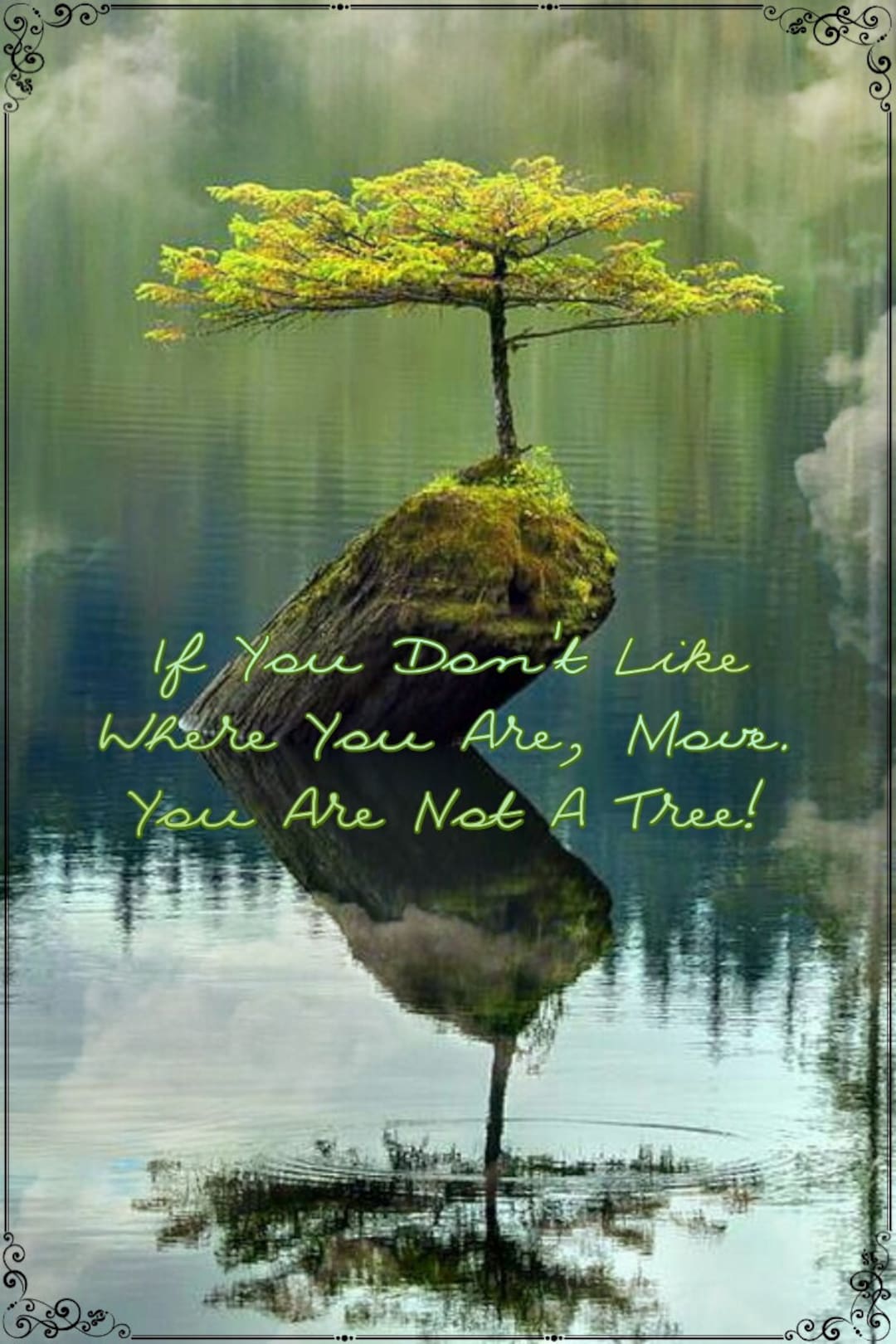 If You Don't Like Where You Are Move You Are Not A Tree Digital ...